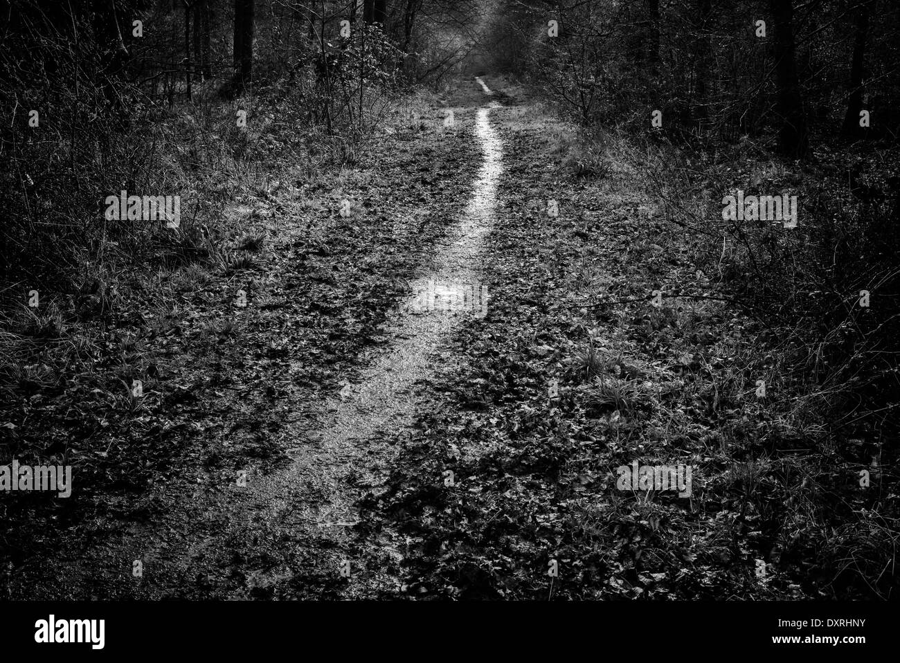 White pathway hi-res stock photography and images - Alamy