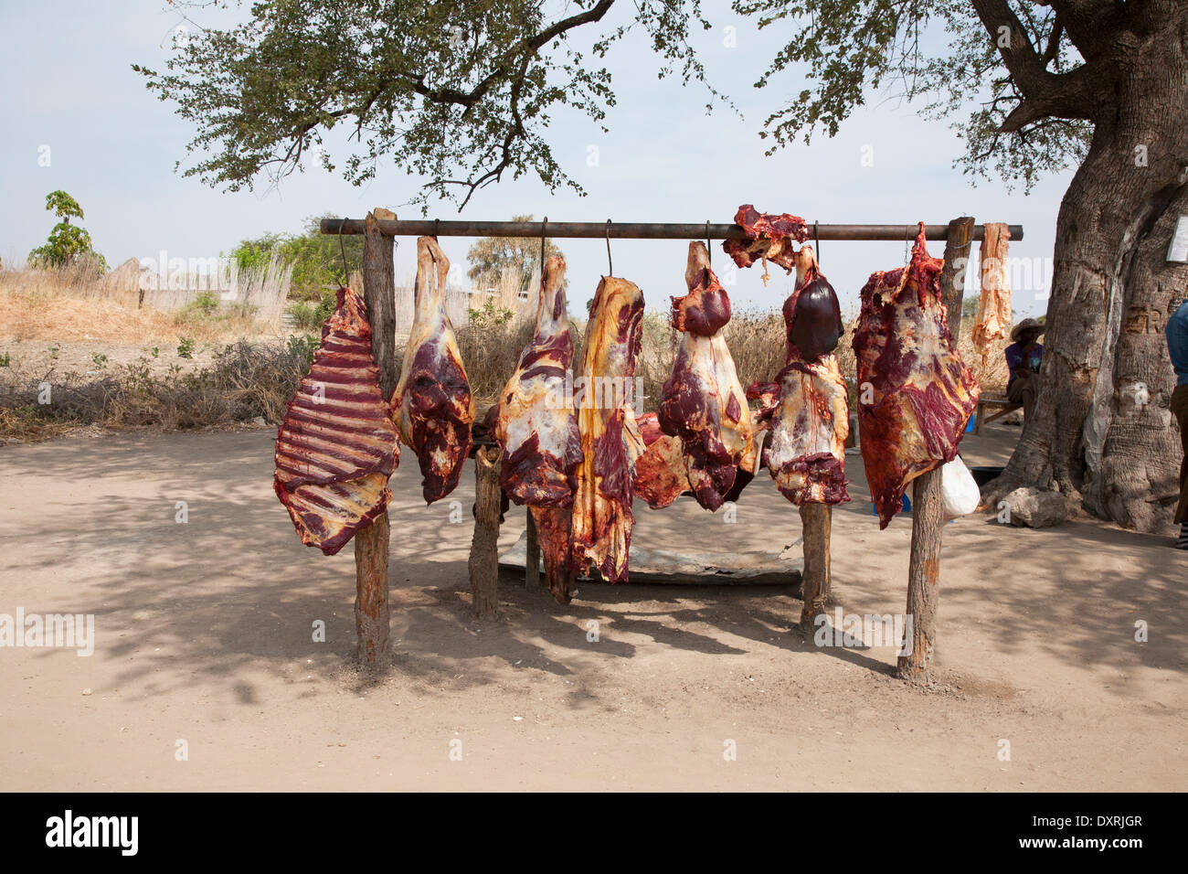 Bushmeat Stock Photos & Bushmeat Stock Images - Alamy