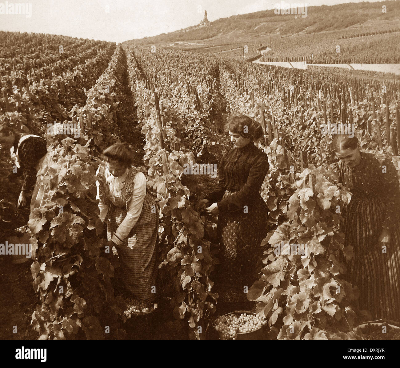 Germany 1920s hi-res stock photography and images - Alamy