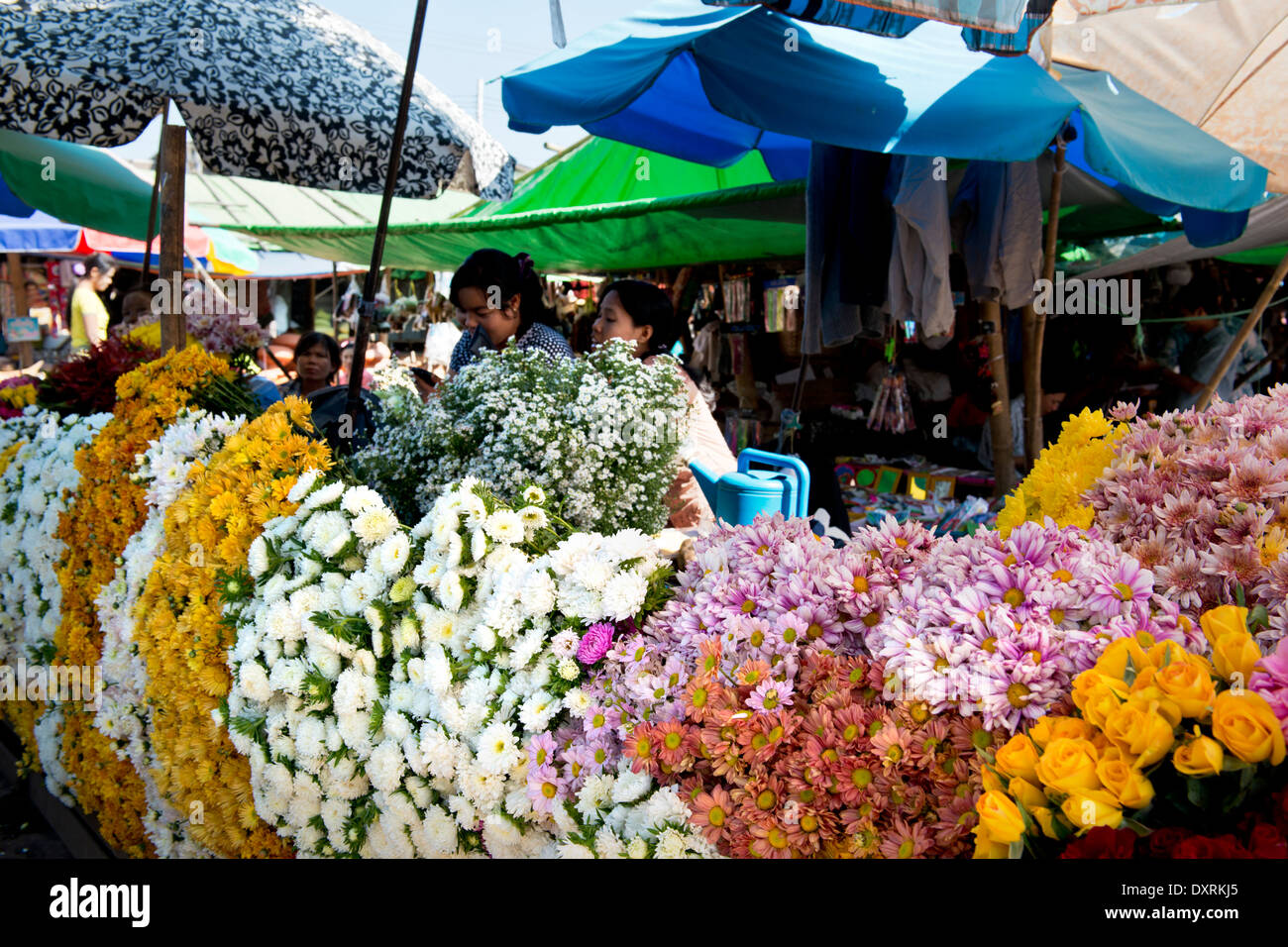 Myanmar, Surrounding of Tangoo; Market Stock Photo - Alamy