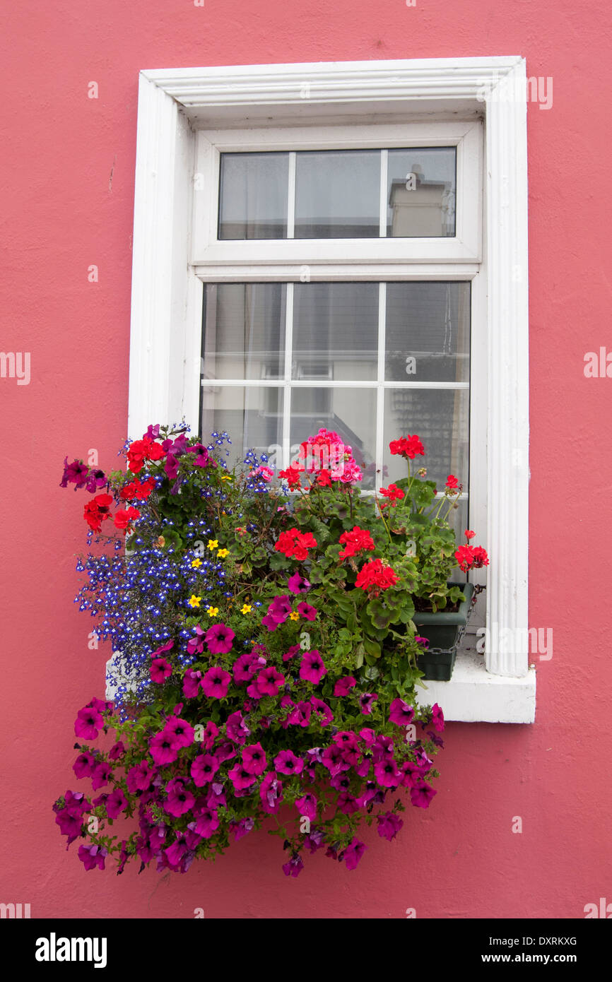 Geranium window hi-res stock photography and images - Alamy