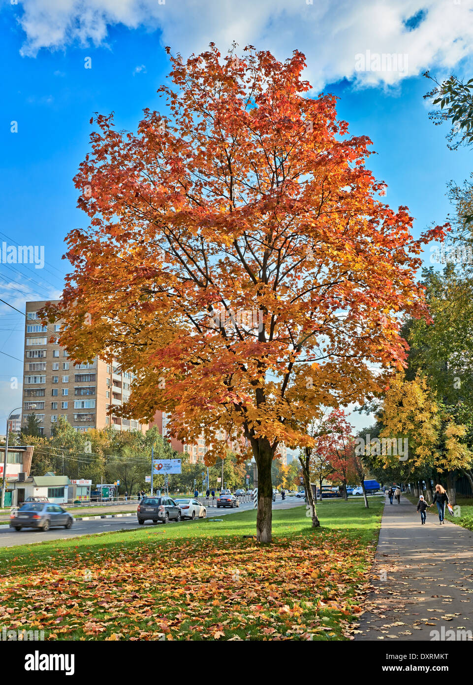 Moscow scene park hi-res stock photography and images - Alamy