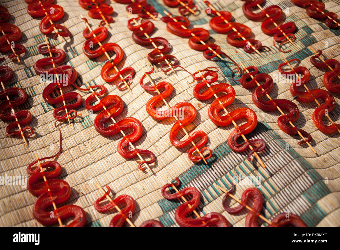 Dried snakes on skewers - Phnom Penh, Cambodia Stock Photo - Alamy