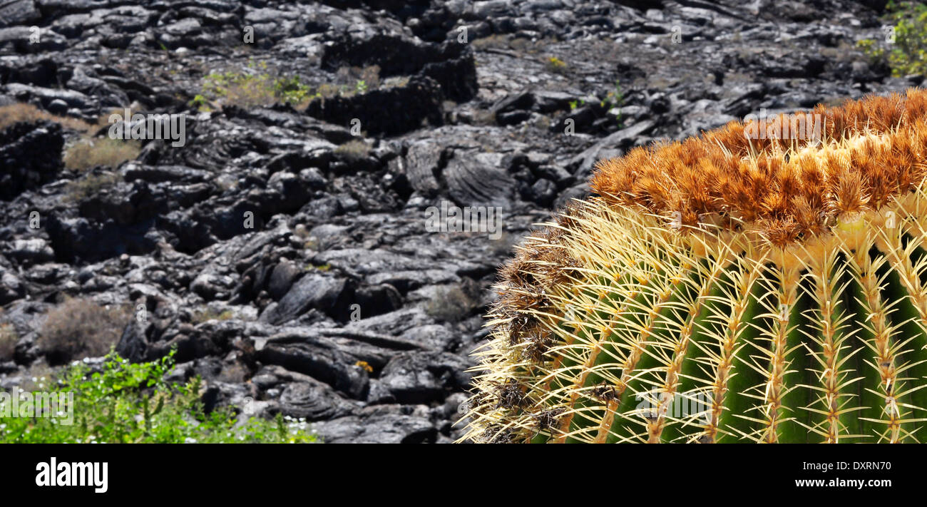 Volcanic spine hi-res stock photography and images - Alamy