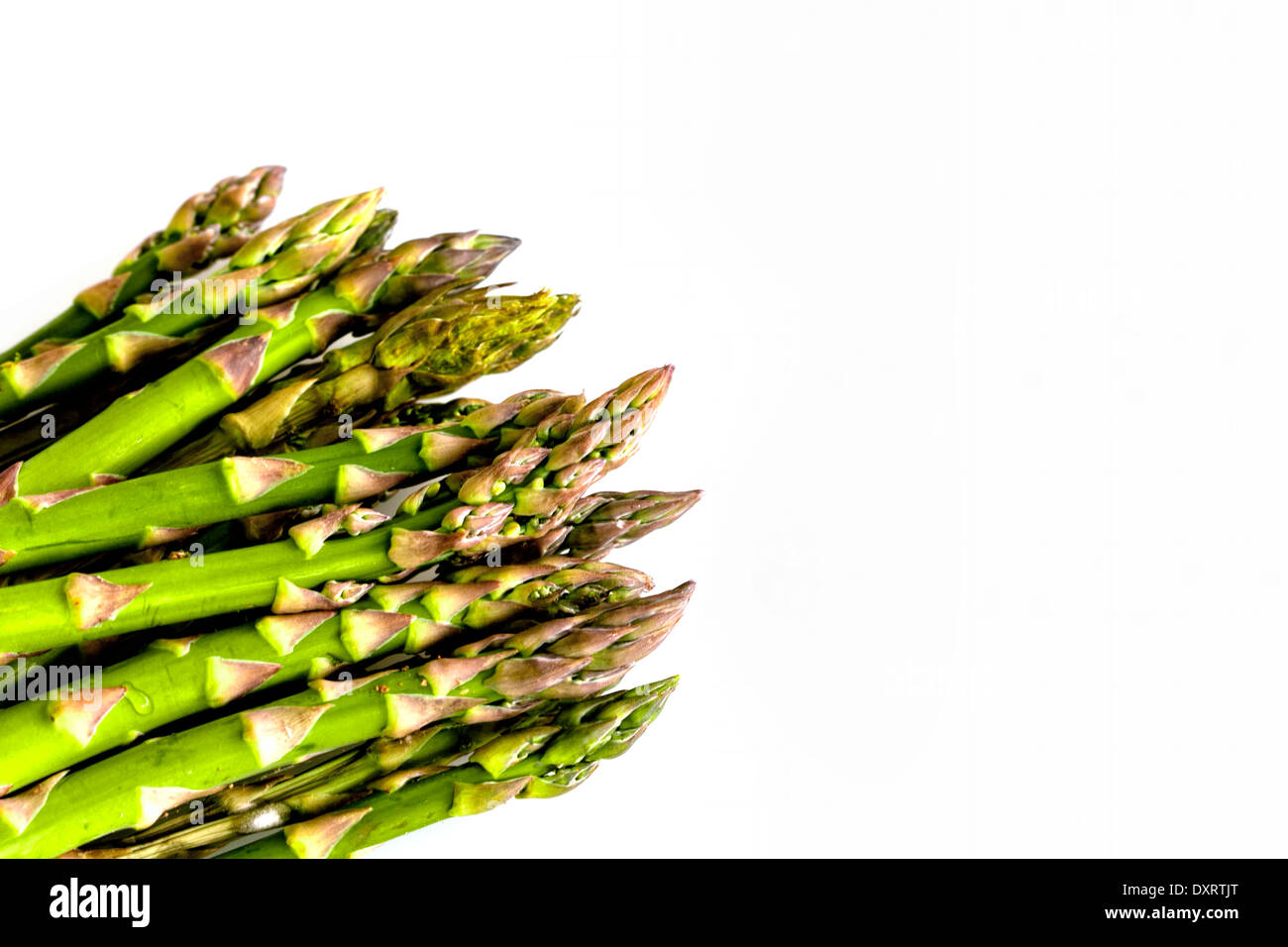 Horizontal Close-up of Fresh Asparagus Tips Isolated on White Stock ...