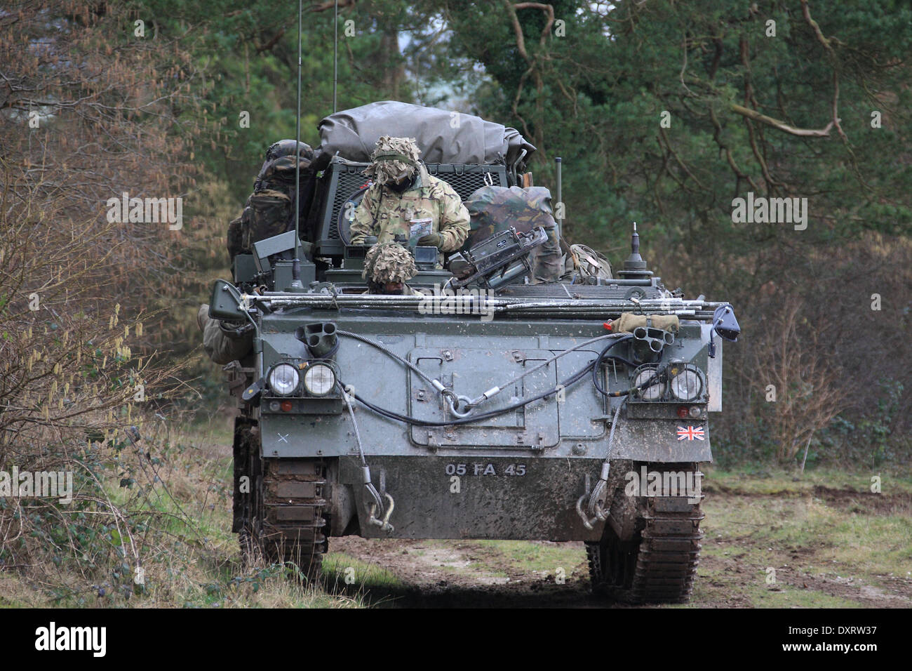 British army bulldog hi-res stock photography and images - Alamy