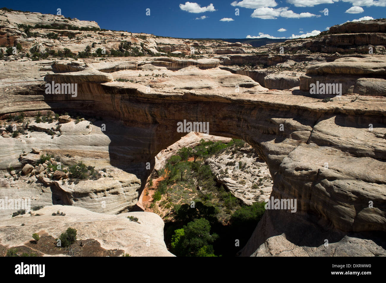 natural bridges park,utah,USA:august 7,2012:view of Sipapu natural ...