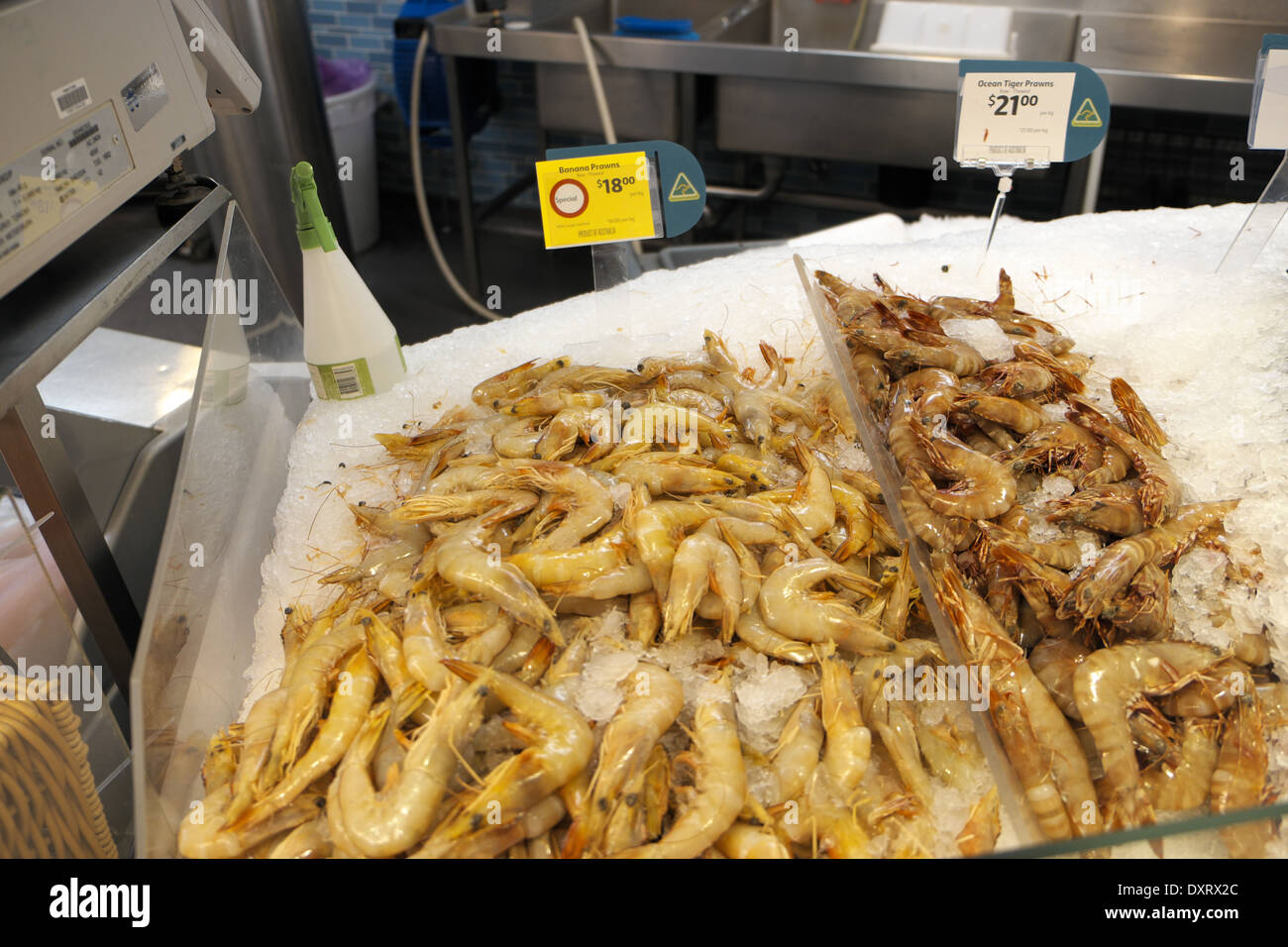 Australian fishmonger hi-res stock photography and images - Alamy