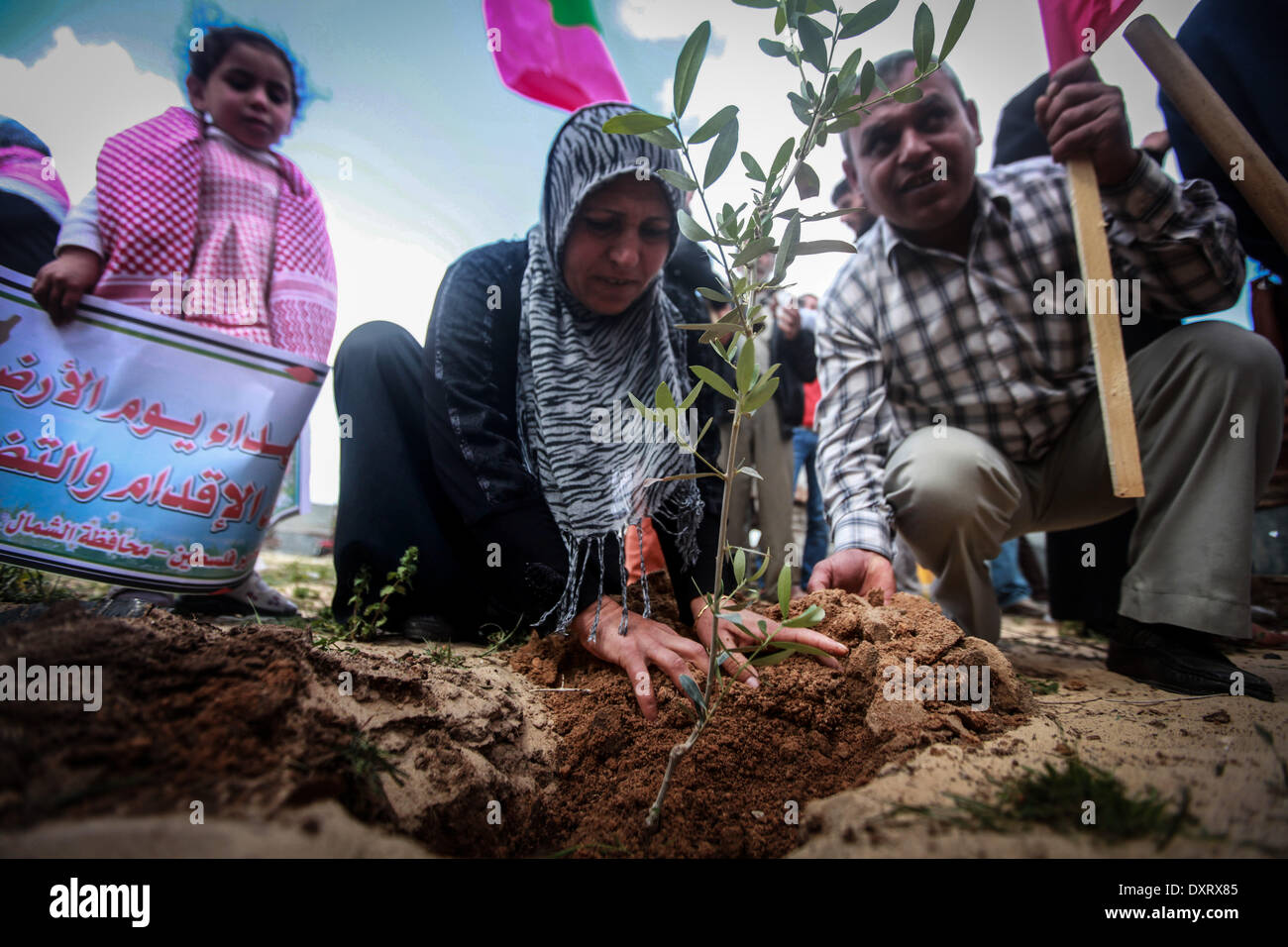 Gaza, Palestinian Territories. 30th Mar, 2014. A Palestinian plants an ...