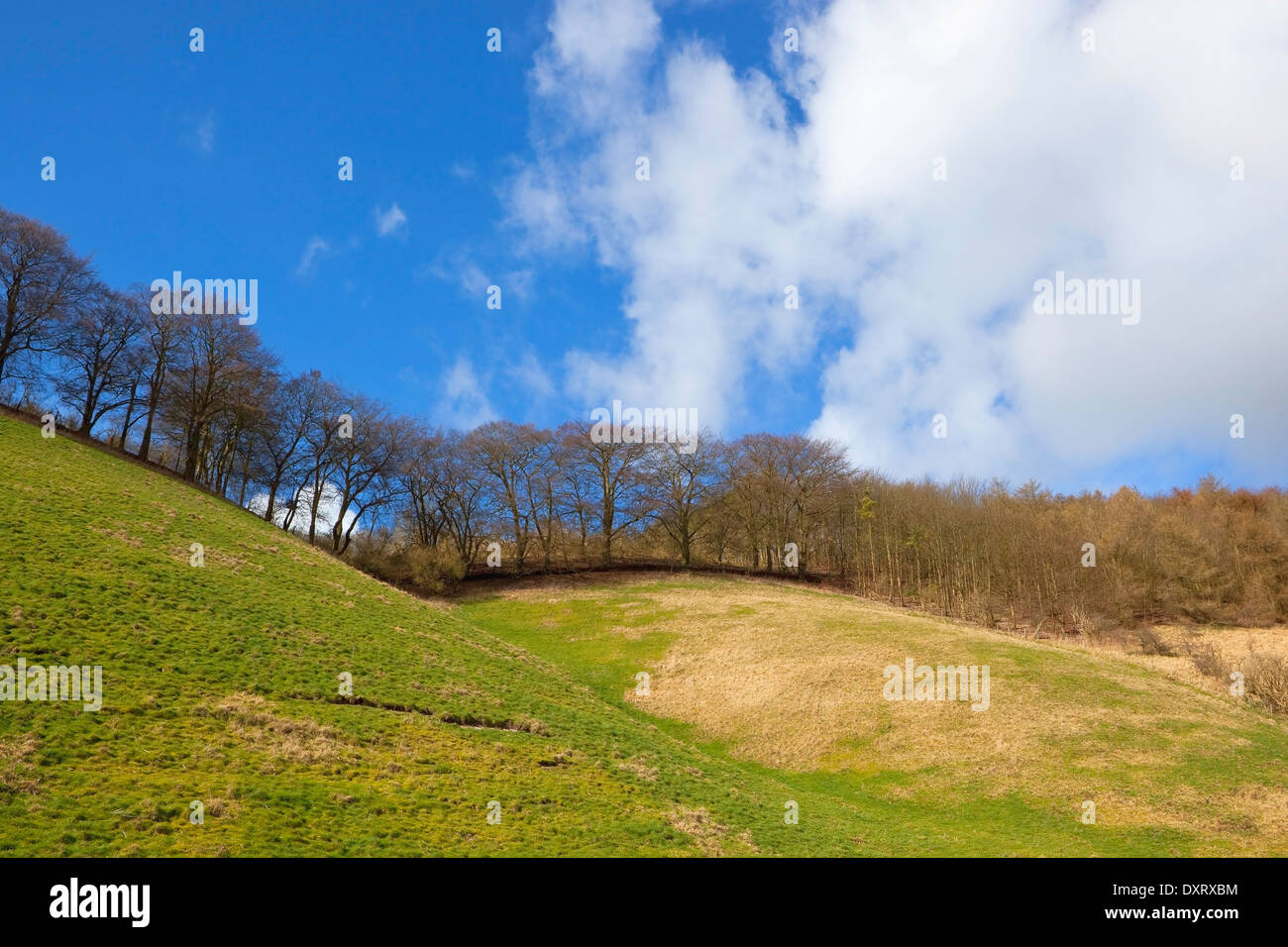 English plantations hi-res stock photography and images - Alamy