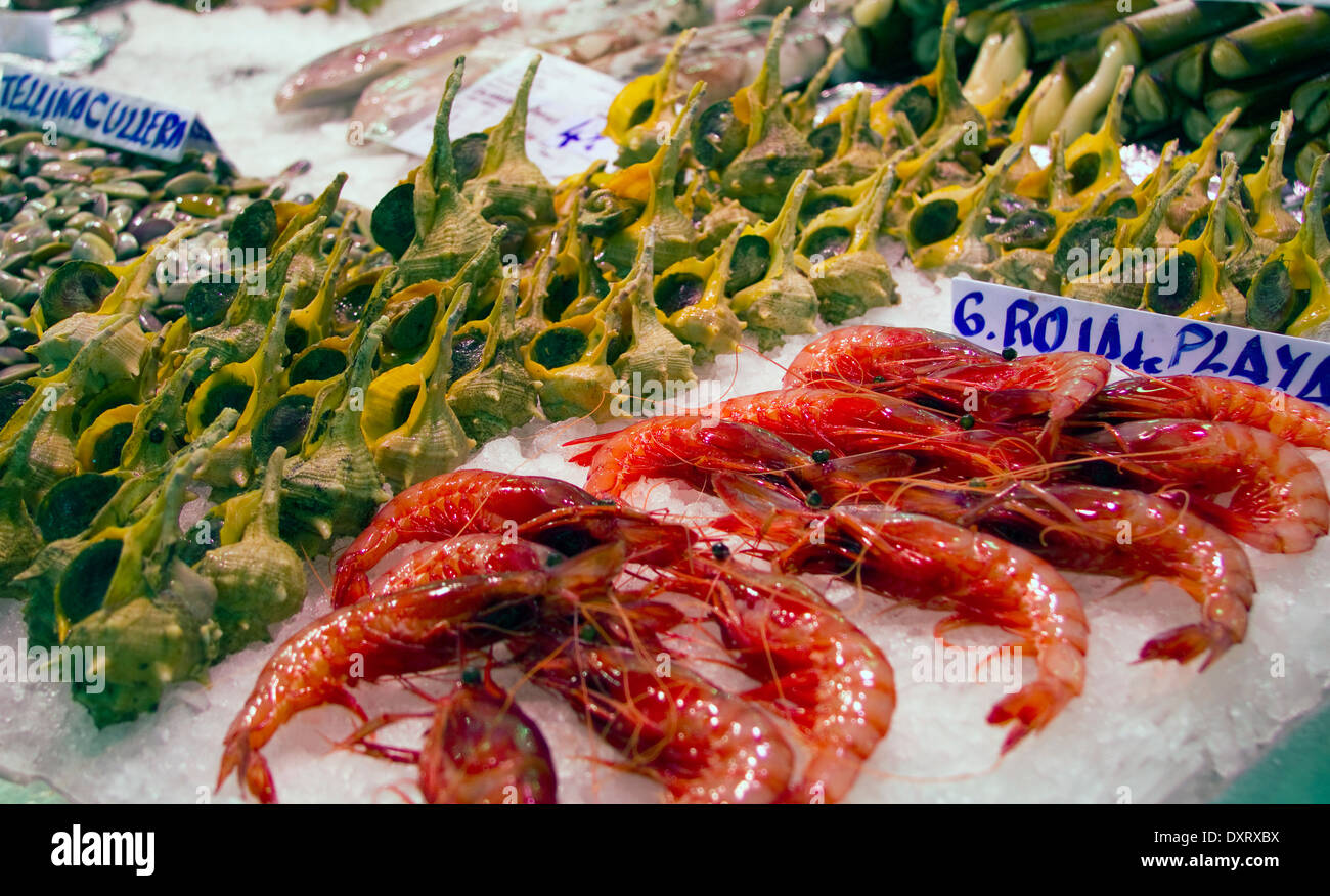 Valencia fish market hi-res stock photography and images - Alamy