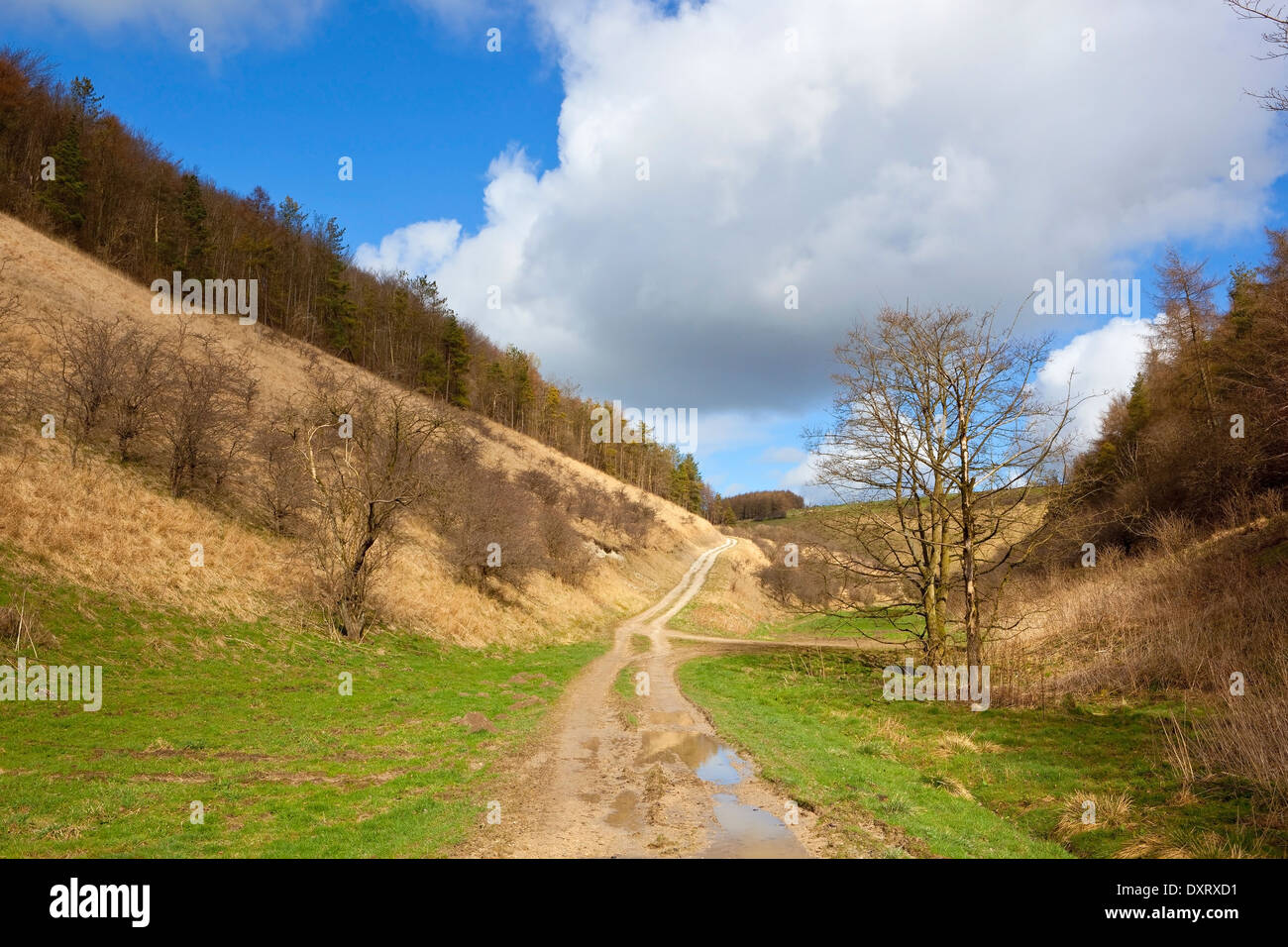 Wet slopes hi-res stock photography and images - Alamy