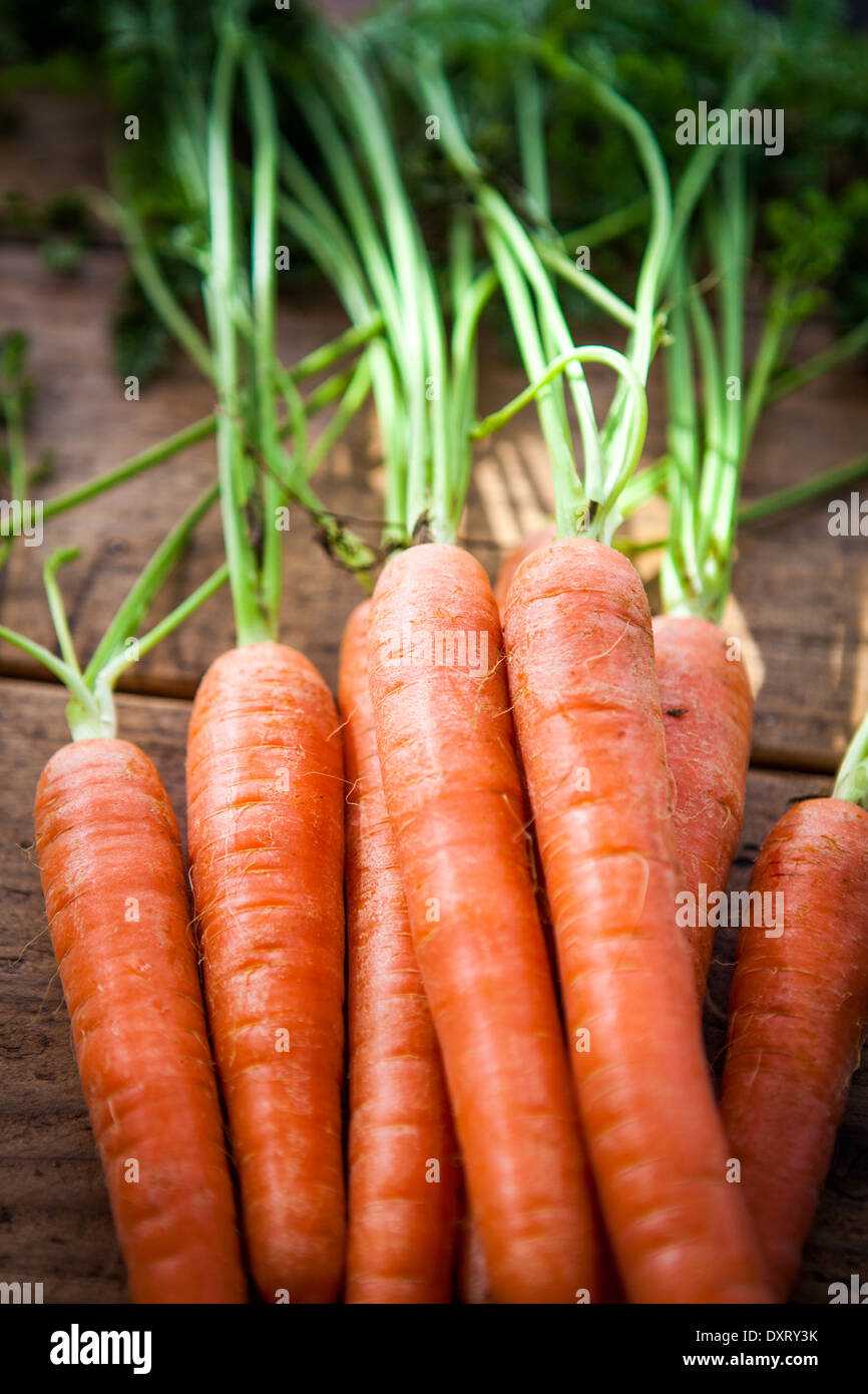 freshly dug up carrots Stock Photo - Alamy