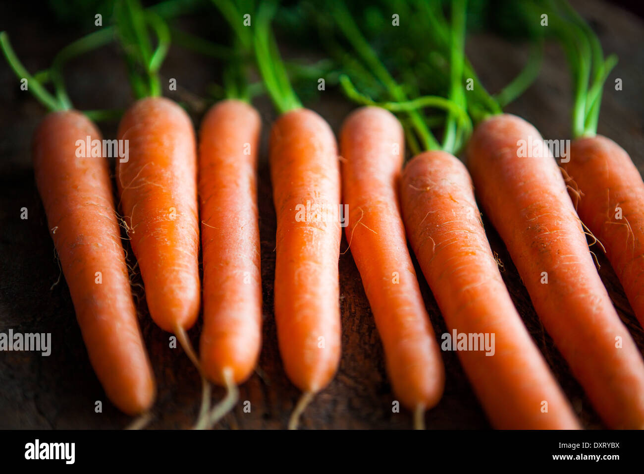 freshly dug up carrots Stock Photo - Alamy