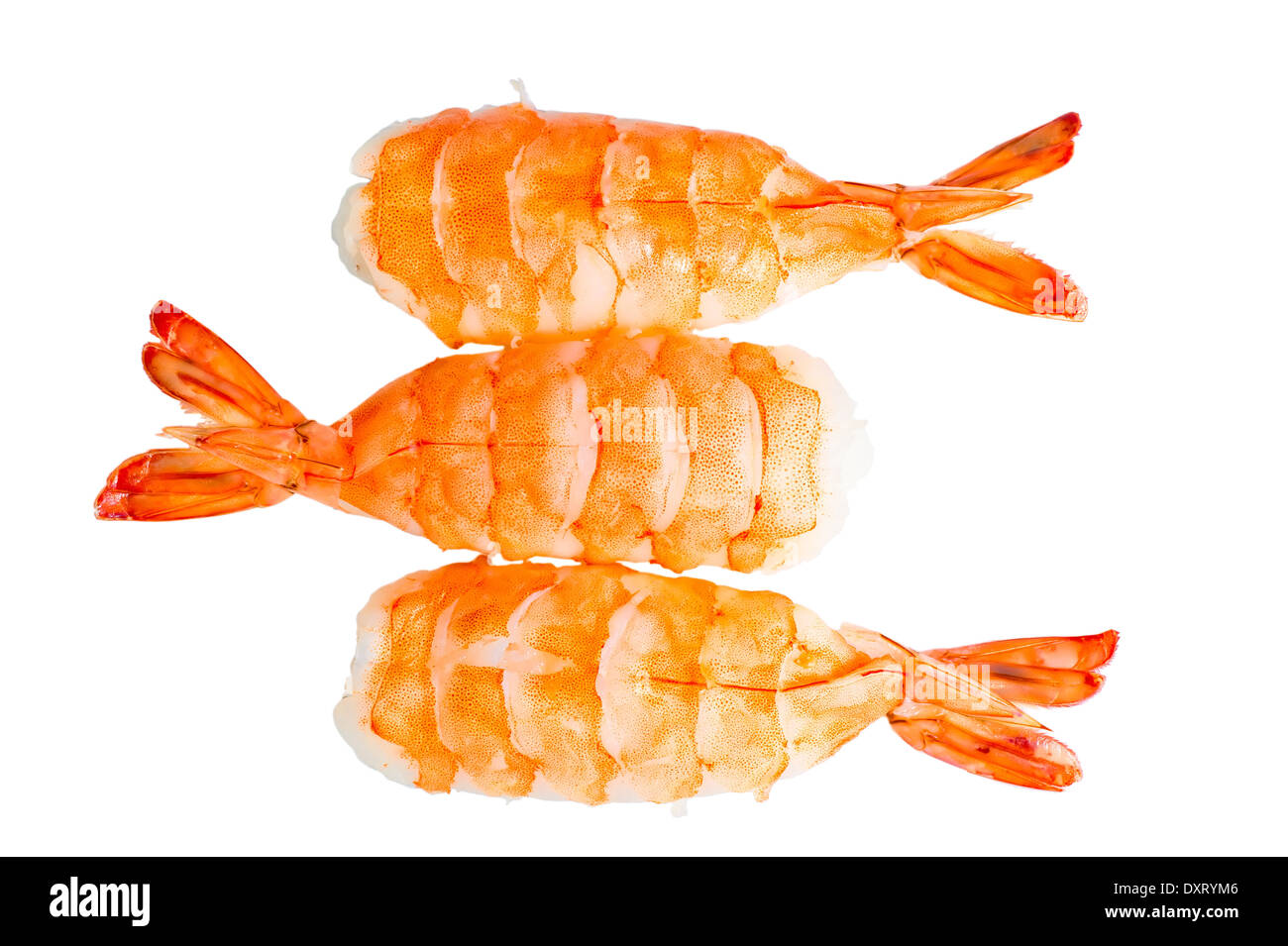 Three sushi shrimp and rice on a white background Stock Photo - Alamy