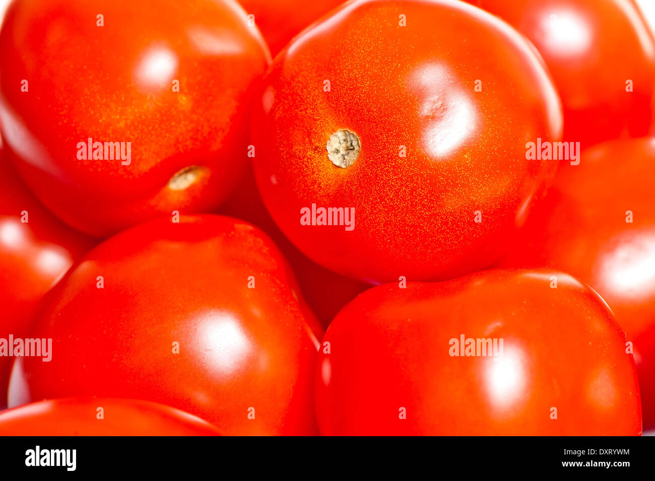 Big juicy tomatoes hi-res stock photography and images - Alamy