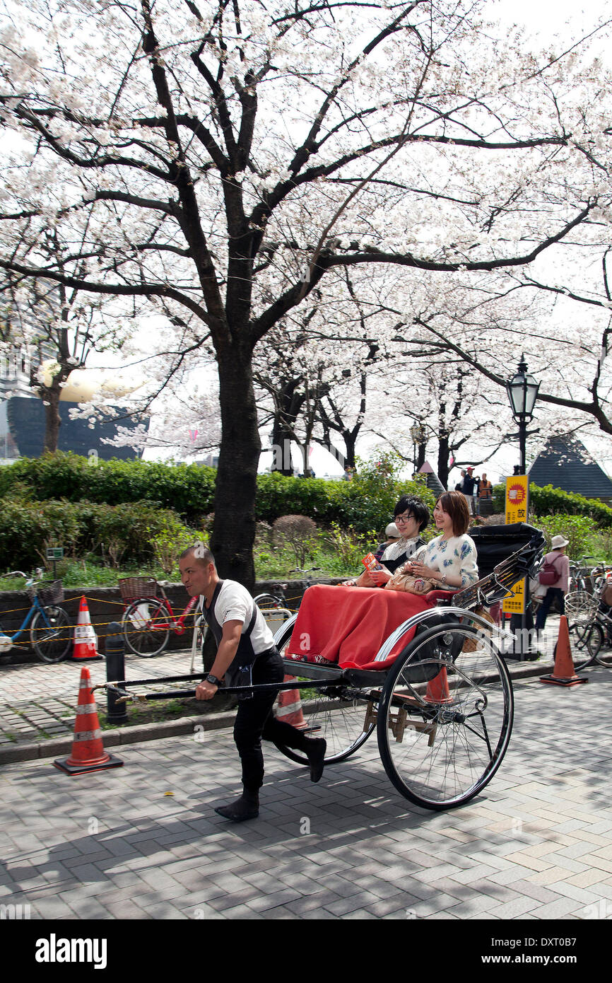 Tokyo, Japan - Traditional Japanese transportation "Jinrikisha" runs ...