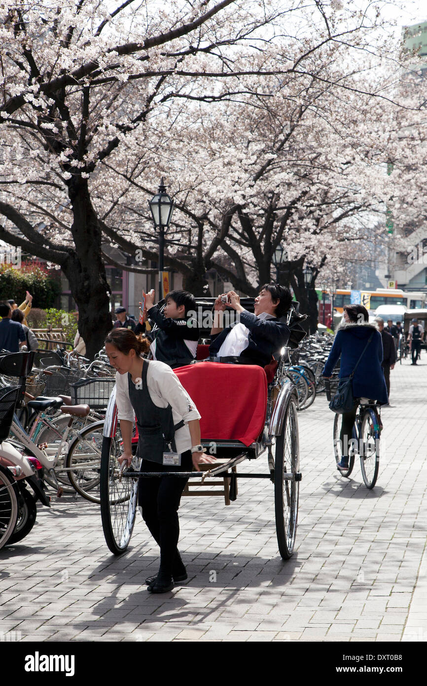 Tokyo, Japan - Traditional Japanese transportation "Jinrikisha" runs ...