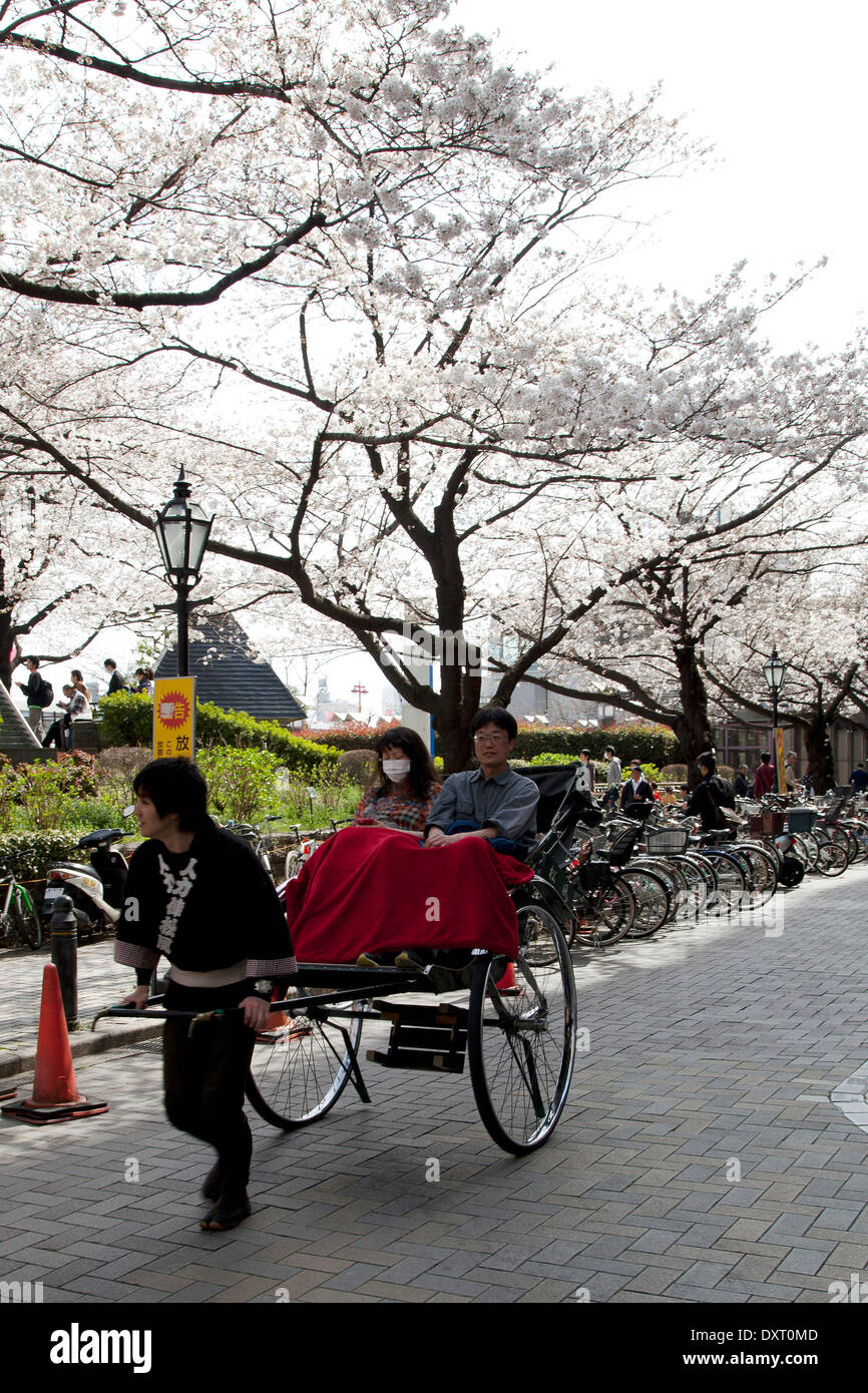 Tokyo, Japan - Traditional Japanese transportation "Jinrikisha" runs ...