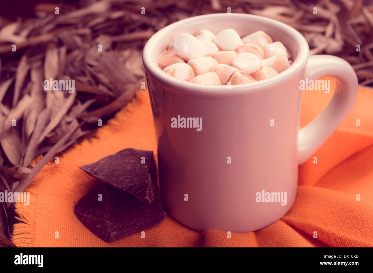 Hot coco with marshmallows hi-res stock photography and images - Alamy