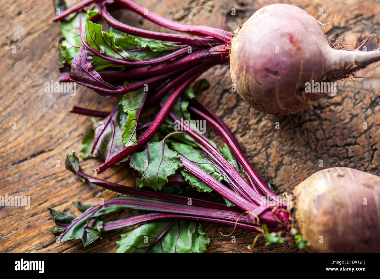 Home grown fresh vegetables hi-res stock photography and images - Alamy