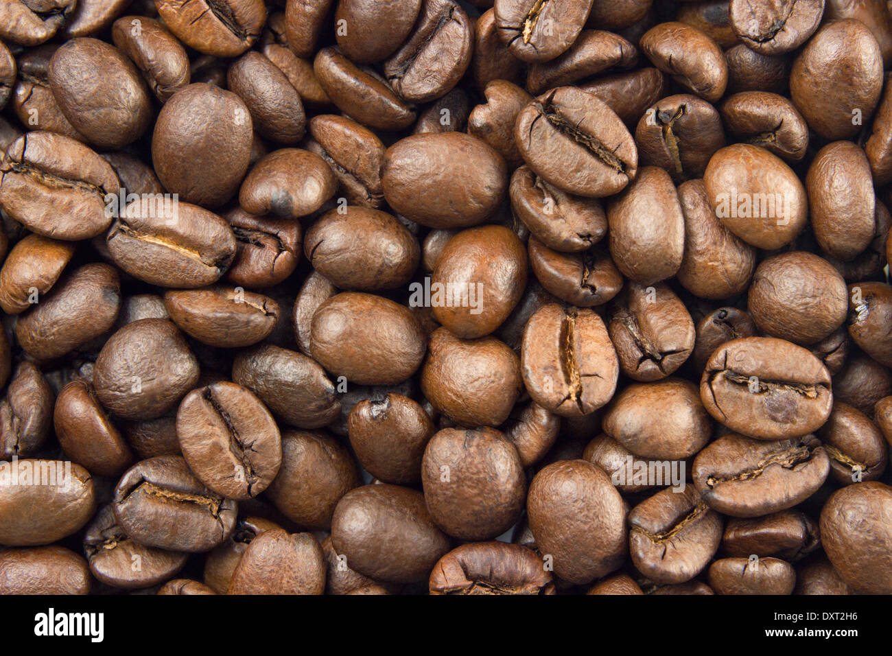 Beans pattern hi-res stock photography and images - Alamy