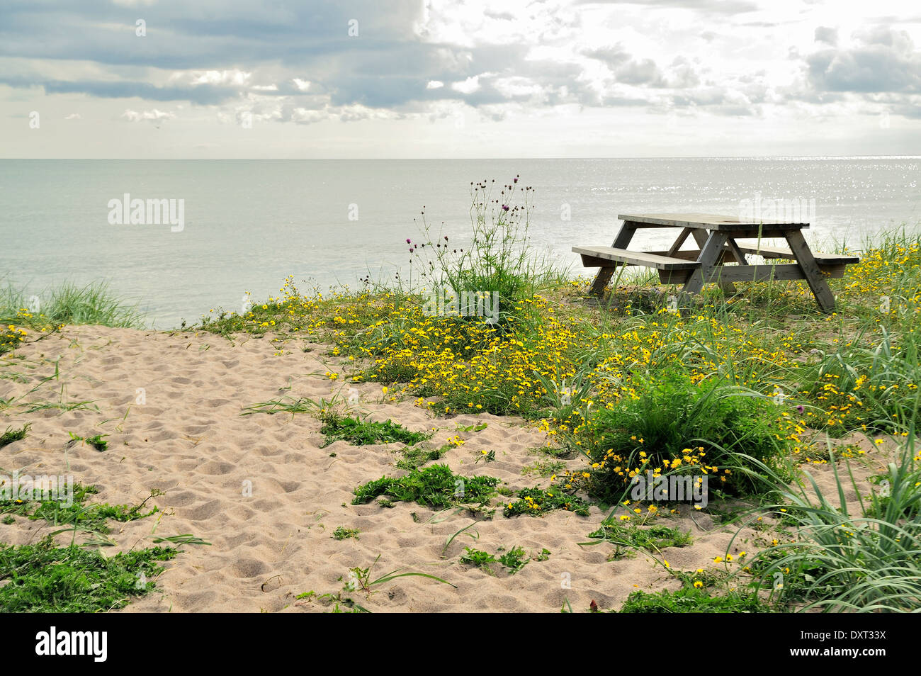 Dining benches hi-res stock photography and images - Alamy
