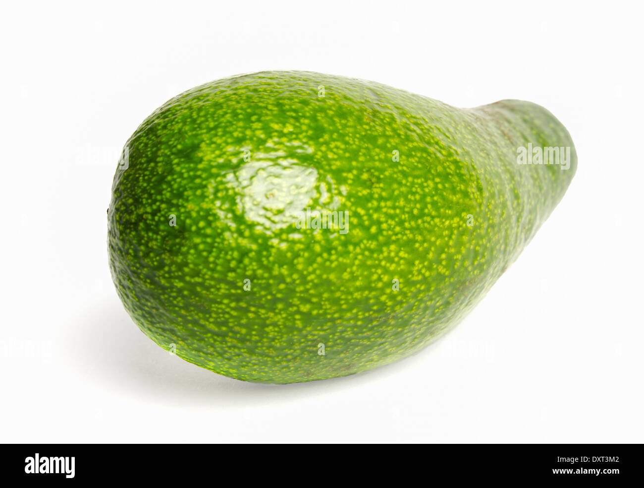 Avocado pear fruit Cut Out Stock Images & Pictures - Alamy