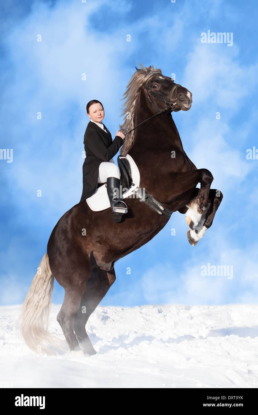 Horse Rearing Up Stock Photos & Horse Rearing Up Stock Images - Alamy