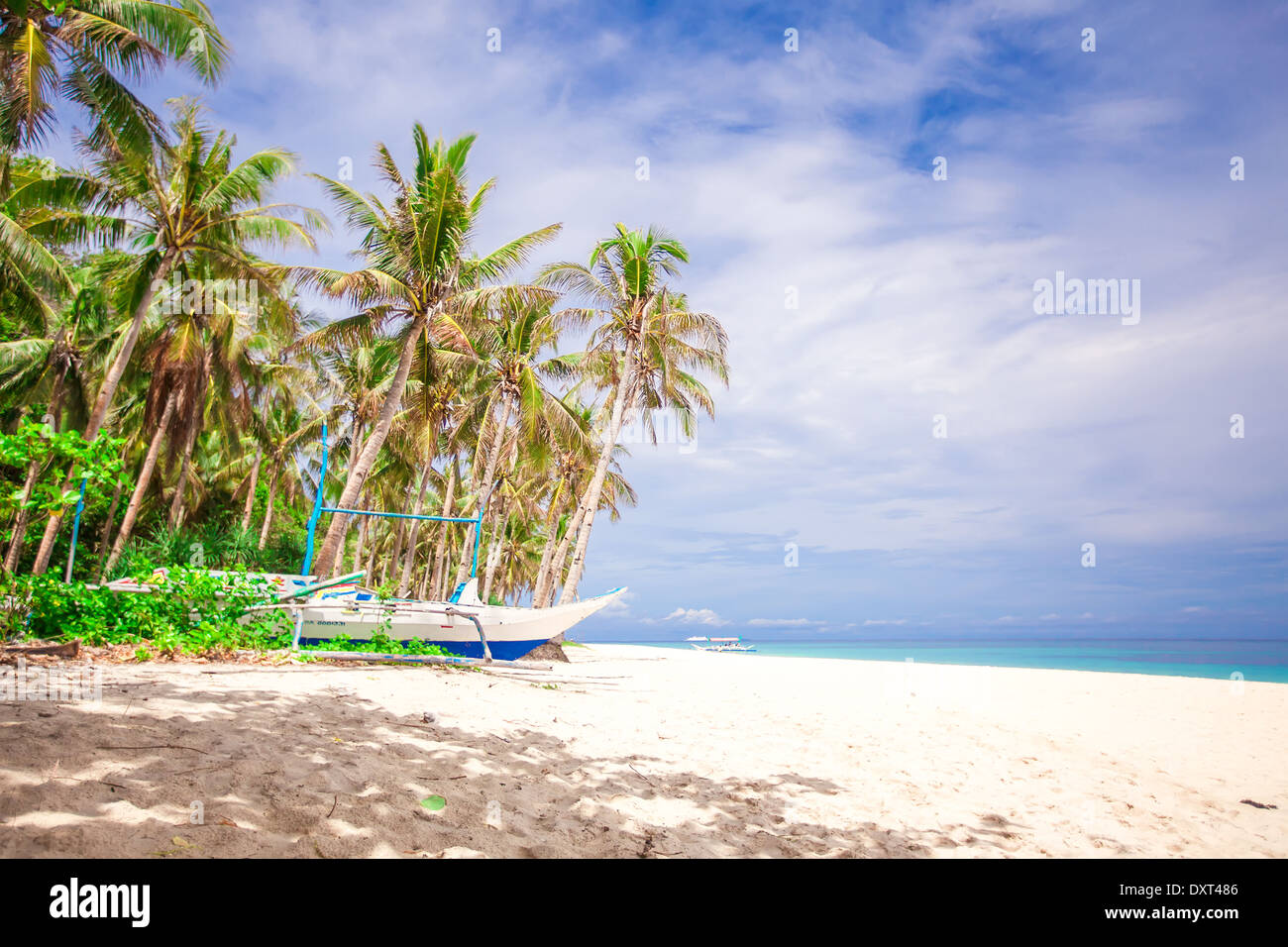 Coconut Palm trees on white sandy beach at desert island Stock Photo ...
