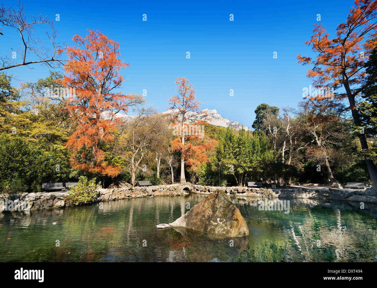 Green trees in park calm hi-res stock photography and images - Alamy