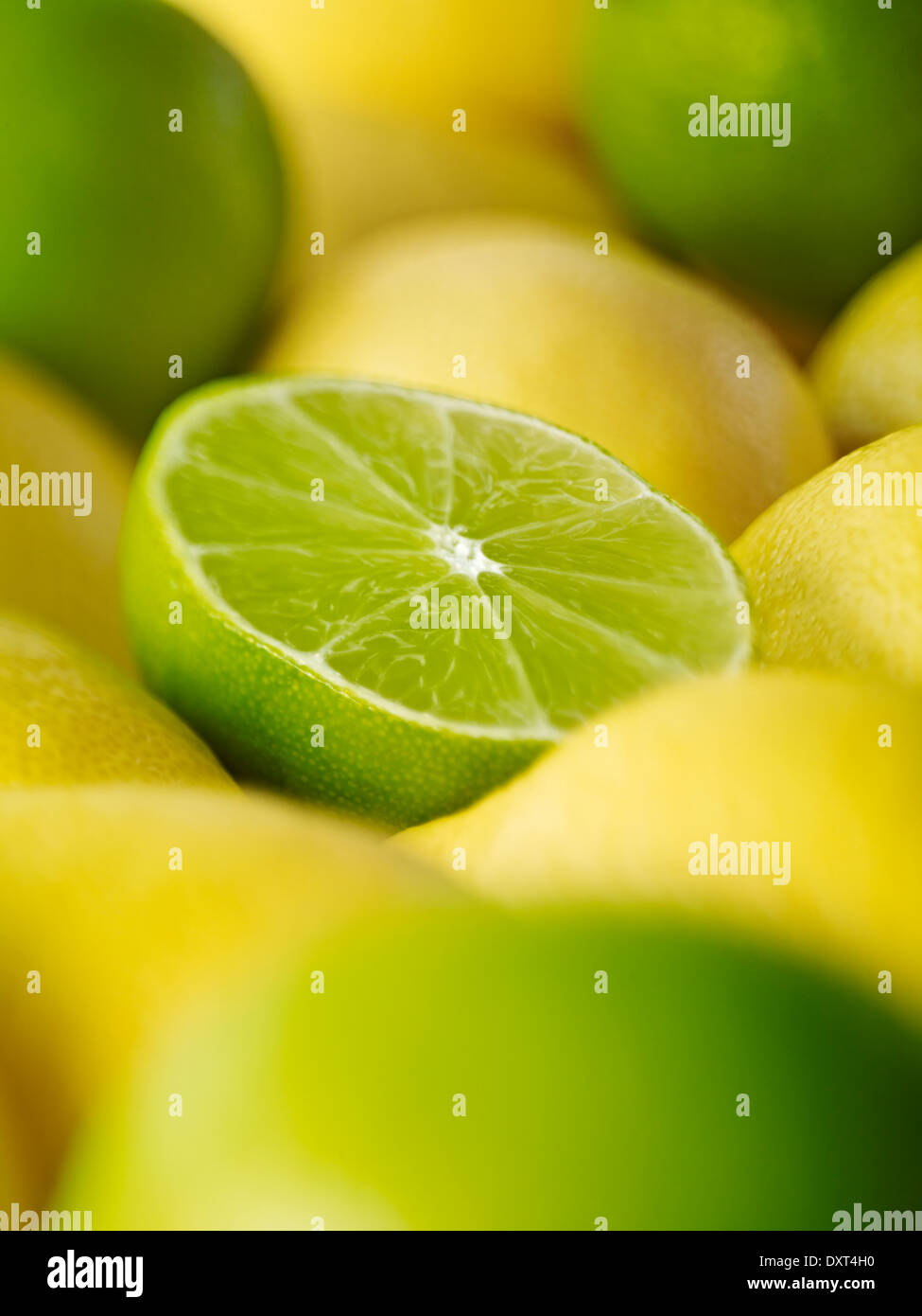 Extreme close up of sliced lime among lemons Stock Photo - Alamy