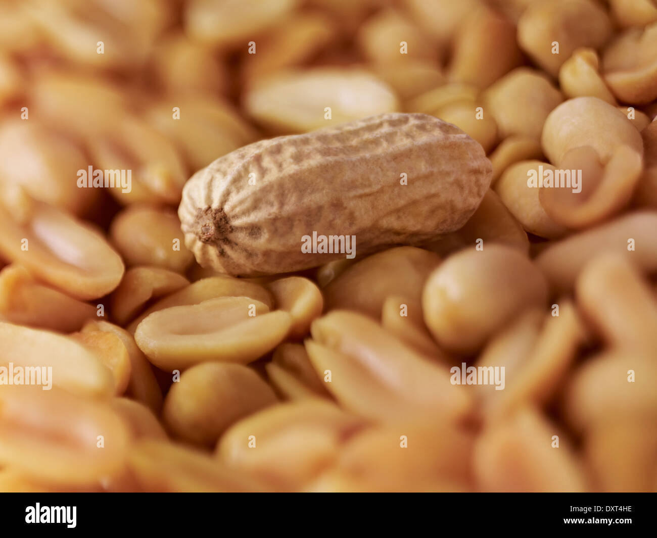 Peanut hi-res stock photography and images - Alamy