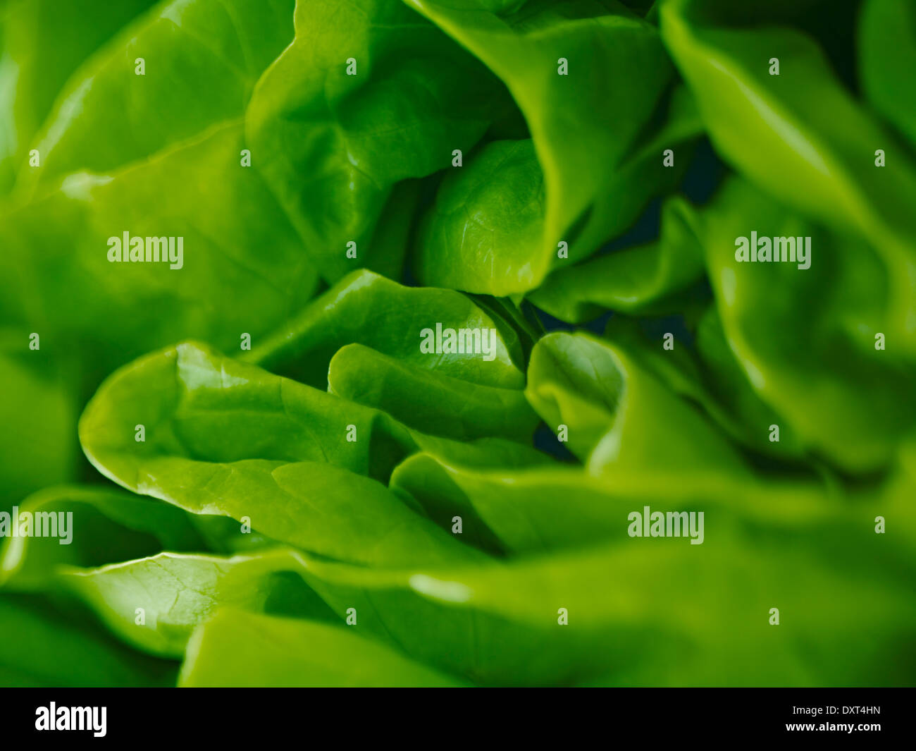 Round colour circle hi-res stock photography and images - Alamy