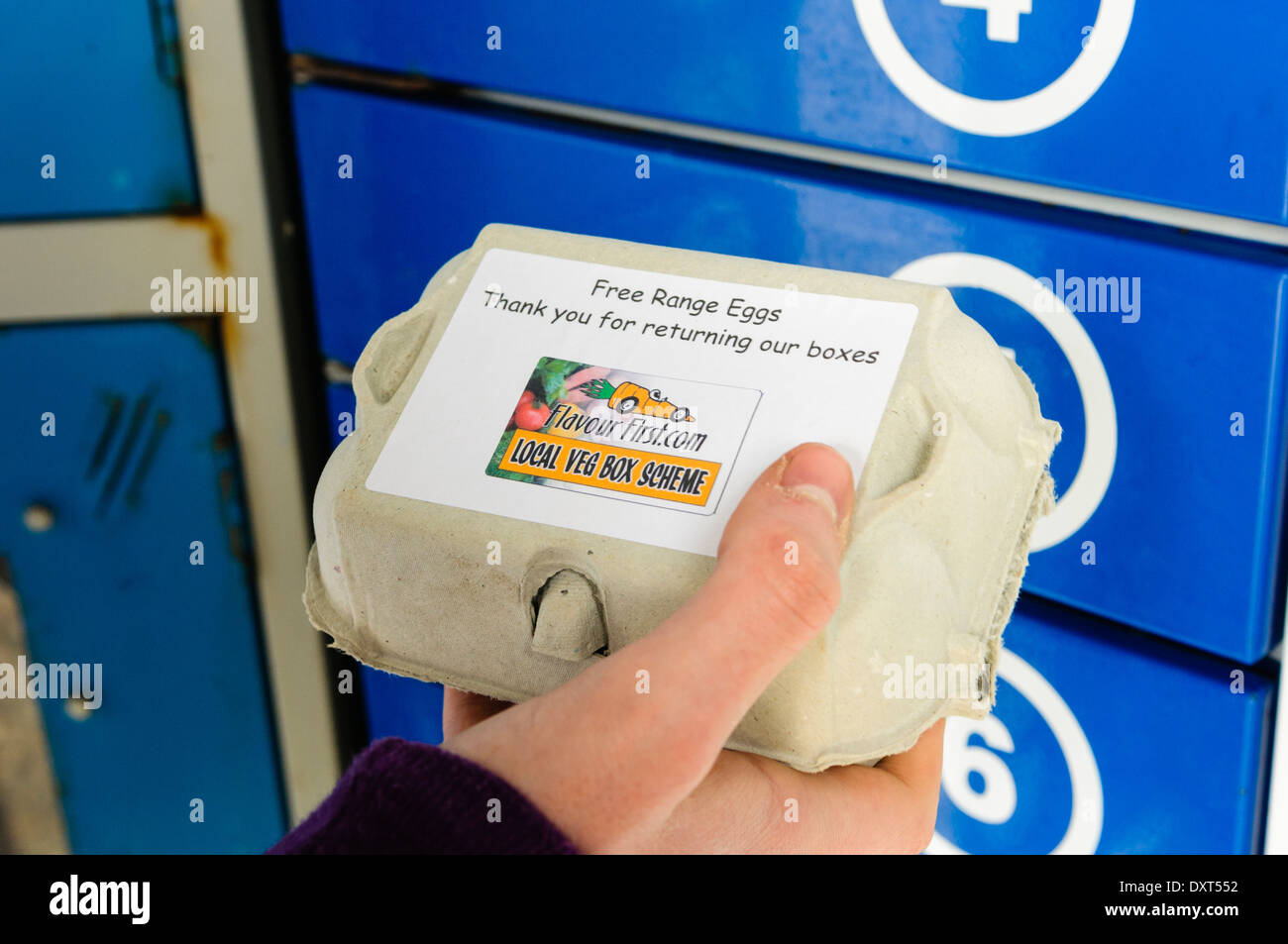 Box of eggs from a free-range egg and vegetable vending machine Stock ...
