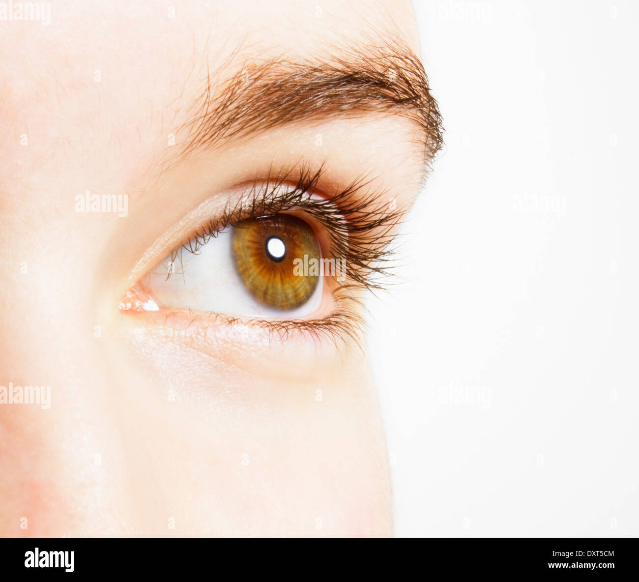 Extreme close up of hazel eye Stock Photo - Alamy