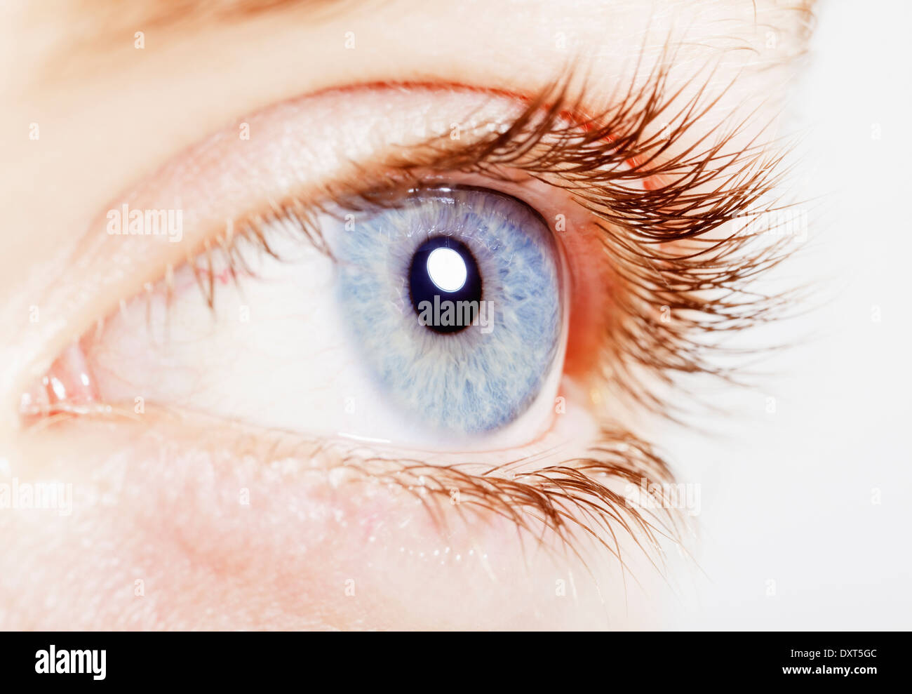 Extreme close up of blue eye Stock Photo - Alamy