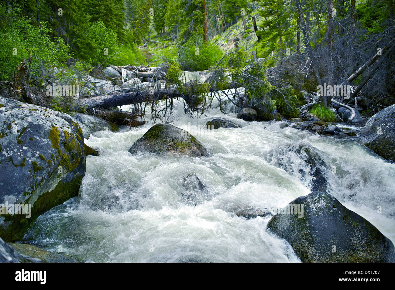 Stream sides hi-res stock photography and images - Alamy