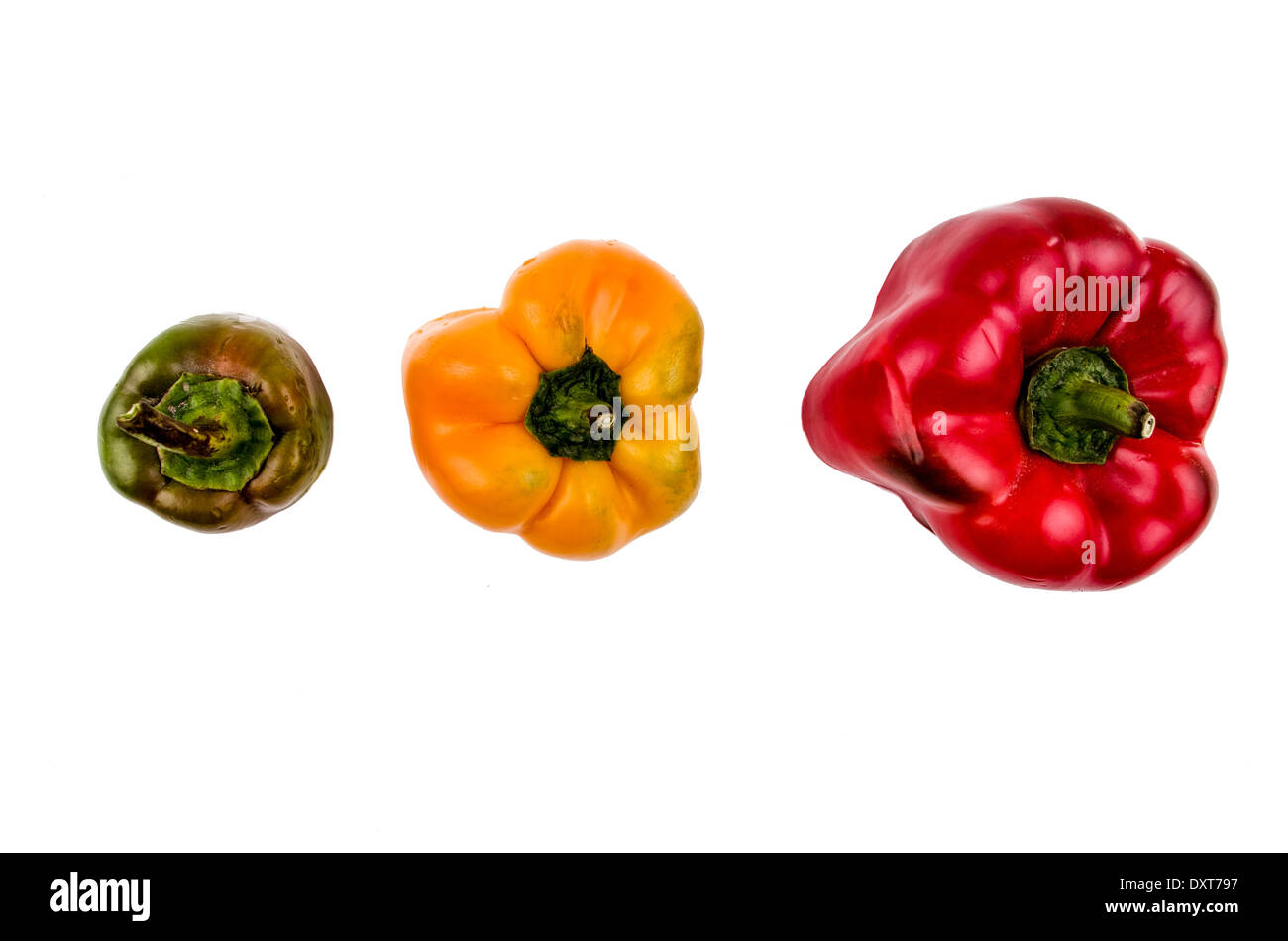 Bell pepper vector hi-res stock photography and images - Alamy