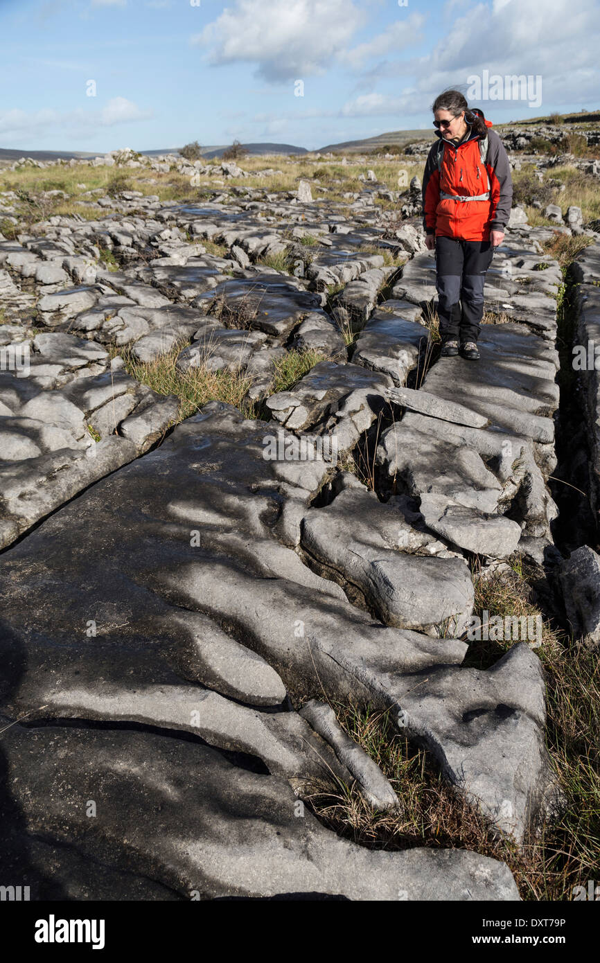 Woman walking on limestone pavement at Carron, the Burren, Co. Clare ...