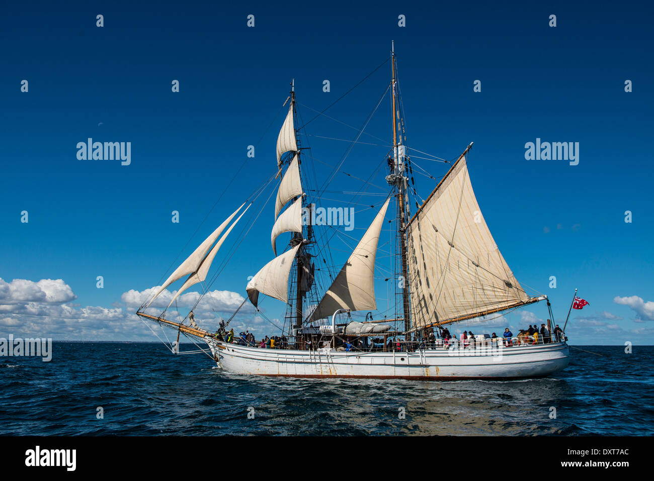 Tall sailing ship soren larsen hi-res stock photography and images - Alamy
