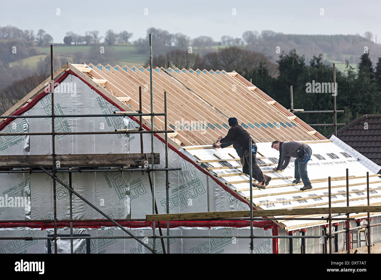 Fixing roof batons for tiling a new build house, Llanfoist, Abergavenny ...