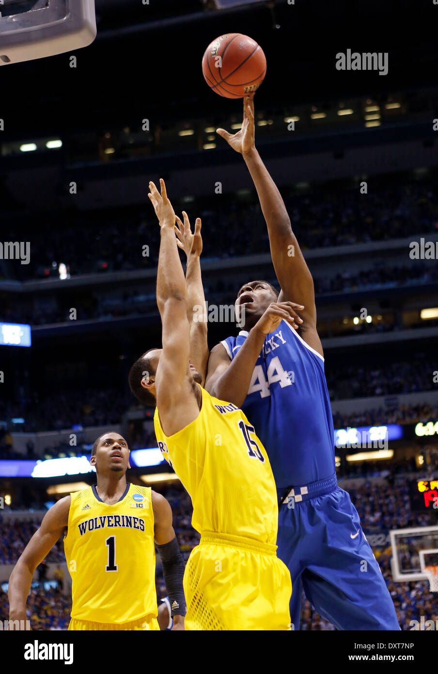 Jon Horford Uf