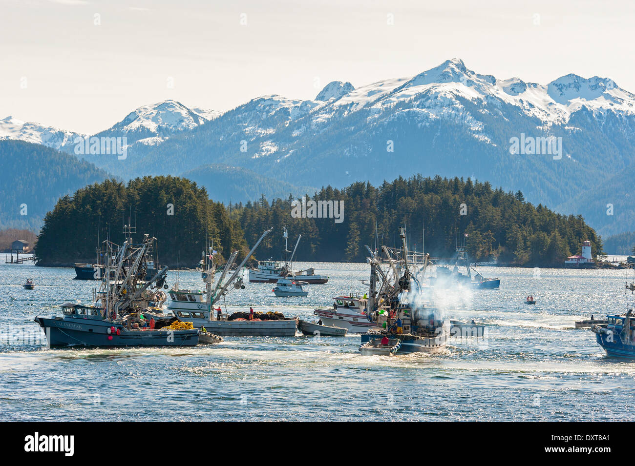 Sitka sound herring fishery hi-res stock photography and images - Alamy