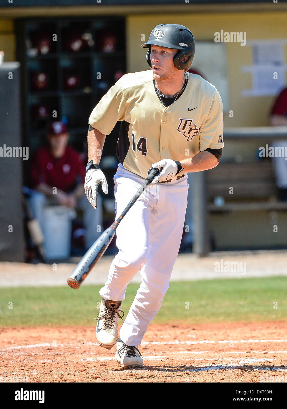 Ucf knights baseball hi-res stock photography and images - Alamy