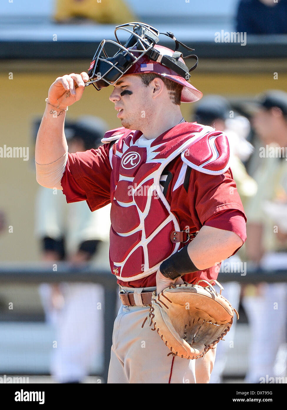 March 30, 2014 - Orlando, FL, U.S: Temple catcher Michael D'Acunti (27 ...