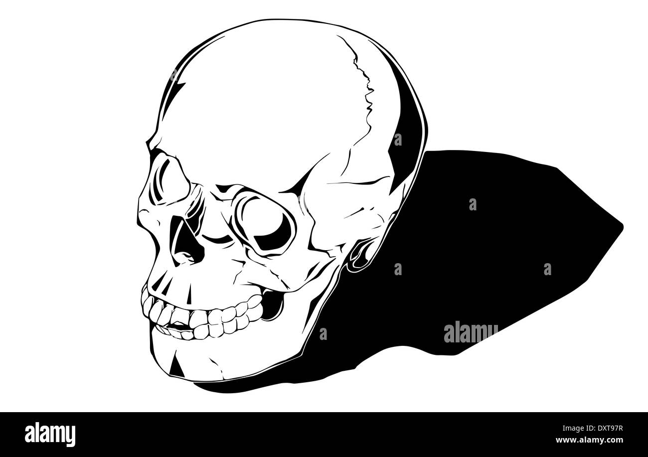 Comic etching Cut Out Stock Images & Pictures - Alamy