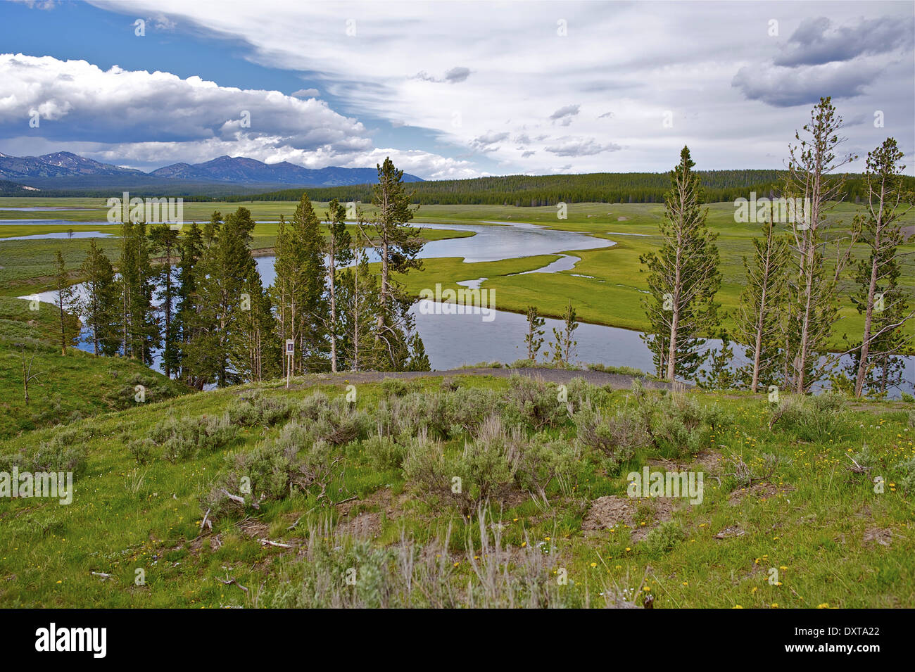 Yellowstone Park River and Yellowstone National Park Valley Landscape ...