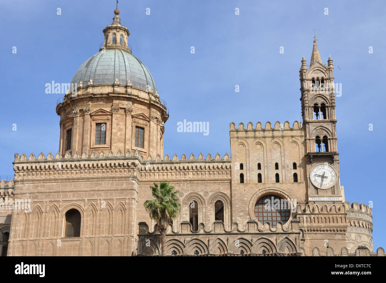 The dome and belltower of the Palermo Cathedral Stock Photo - Alamy