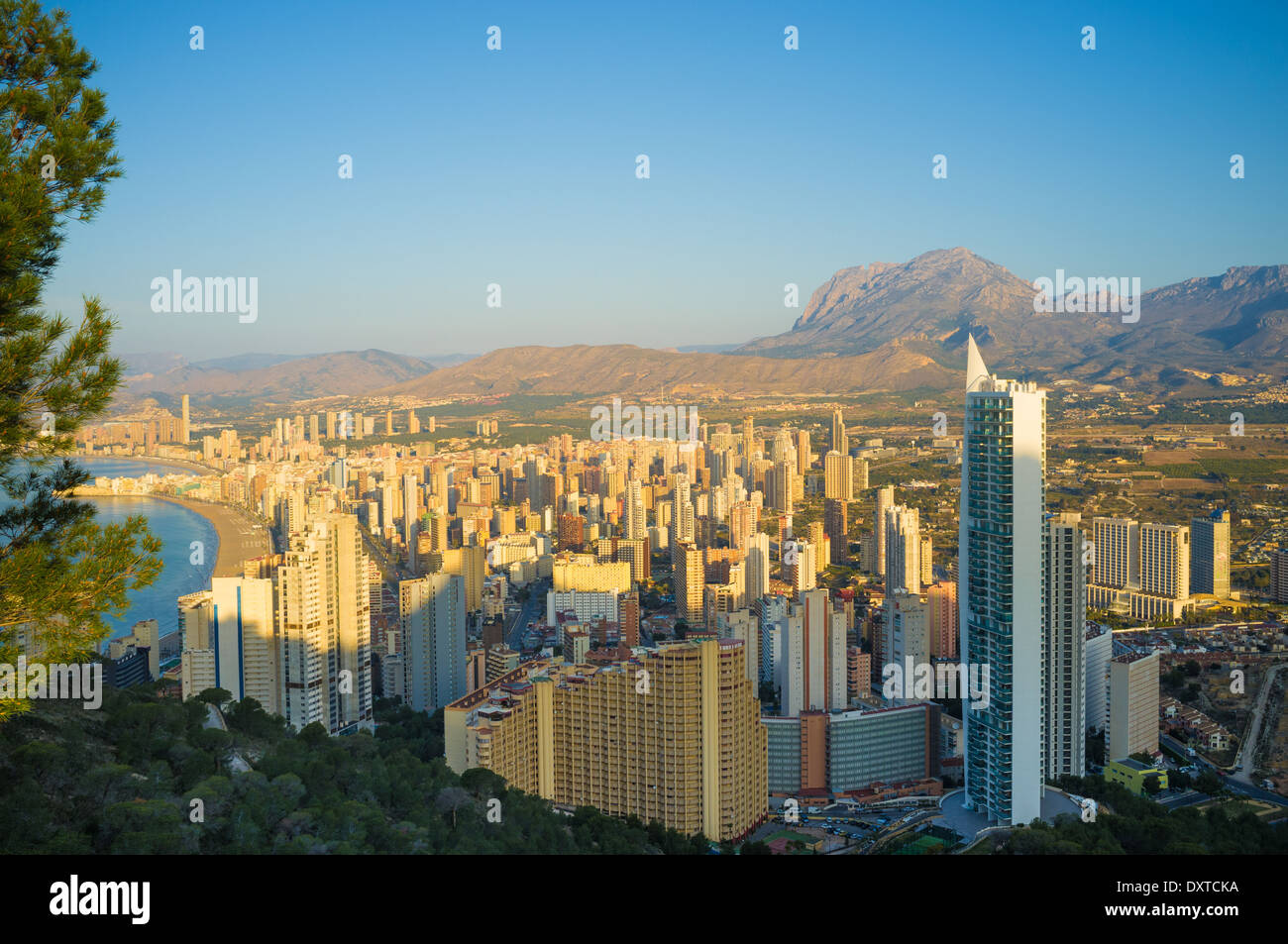The first early morning sun starting to light Benidorm skyline, Costa ...